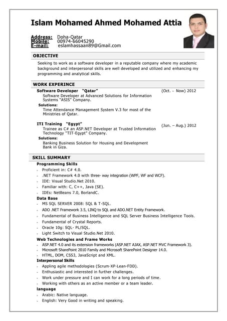 Mohamed farghaly ali cv | PDF