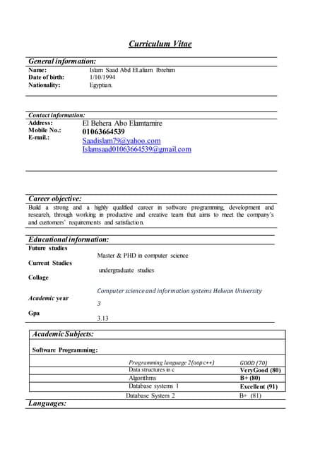 Yasmeen sayed cv | PDF | Programming Languages | Computing