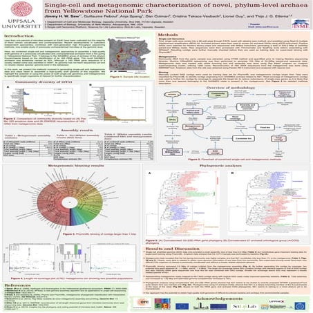 Single-cell and metagenomic characterization of novel, phylum-level ...