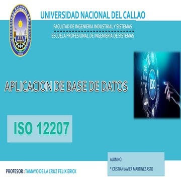 ISO 12207 presentacion ppt.pptx