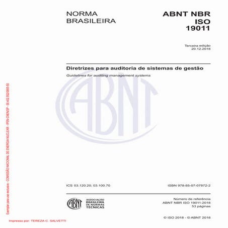 Iso 19011 2018 | PDF