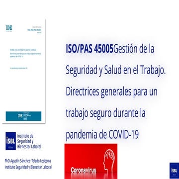 ISO/PAS 45005Gestión de la Seguridad y Salud en el Trabajo. Directrices ...