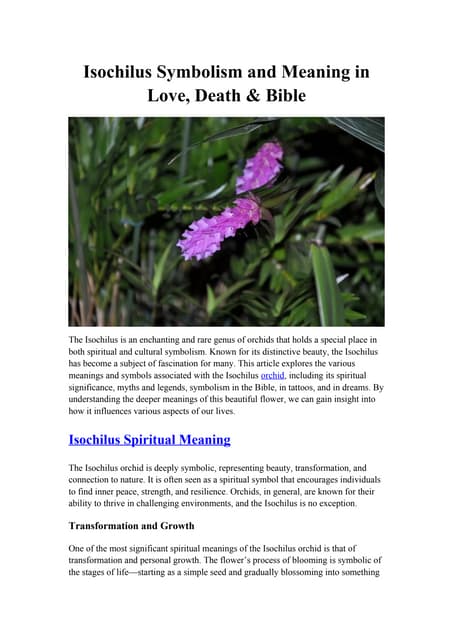 Pseudobulb Spiritual Meaning and Symbolism.docx