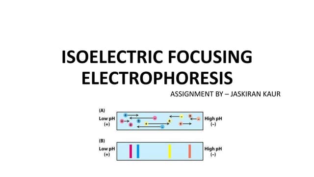 Isoelectric focusing electrophoresis.pptx