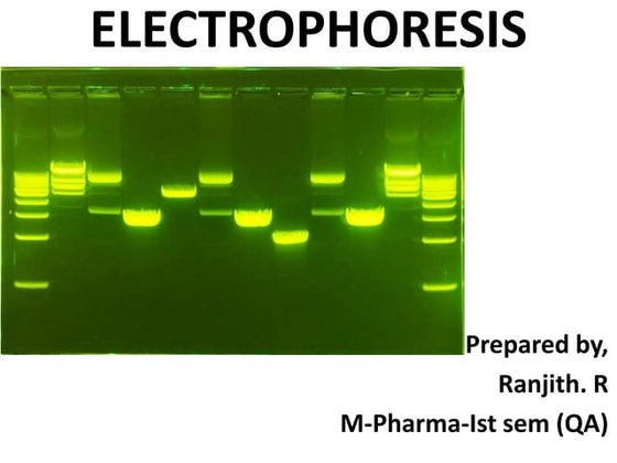 Isoelectric focusing electrophoresis- Principle , procedure and ...