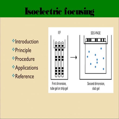 ISOELECTRIC FOCUSING