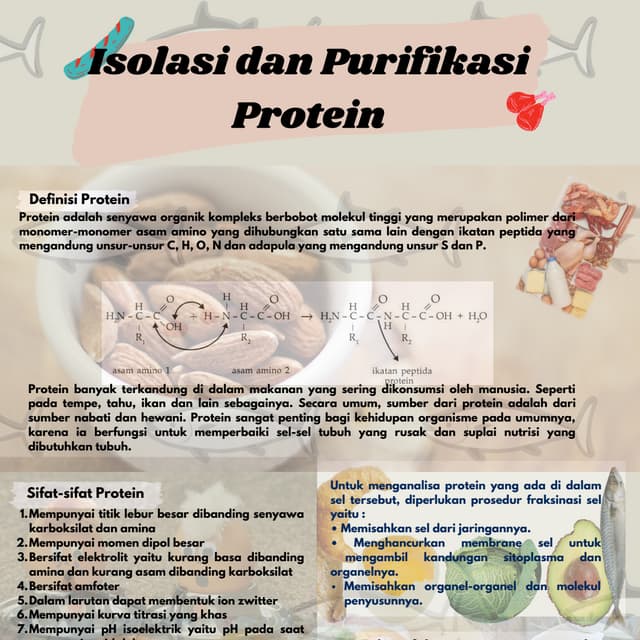 Isolasi dan purifikasi protein | PDF