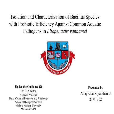 Isolation And Characterization Of Bacillus Species With Probiotic 1 Pptx Biological Sciences