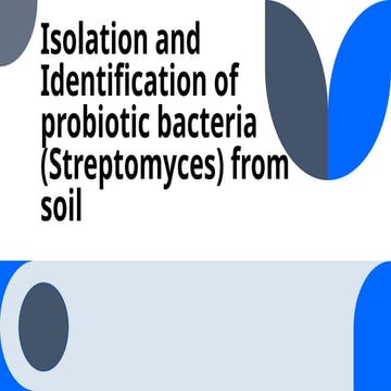 Isolation and Identification of Probiotic Streptomyces Bacteria from ...