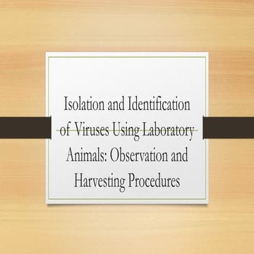Isolation and Identification of Viruses Using Laboratory Animals.pptx