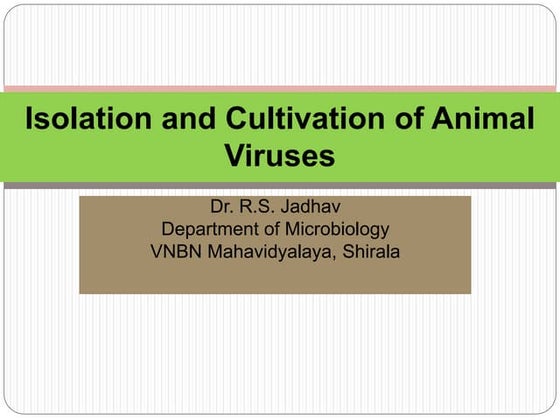 C value paradox | PPTX | Biological Sciences | Science
