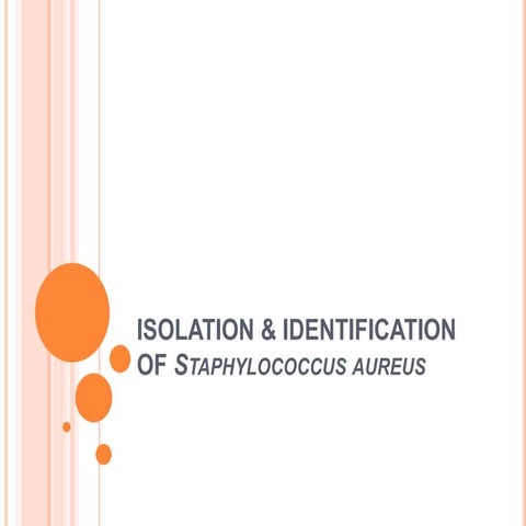 Isolation And Identification Of Staphylococcus Auerus Ppt