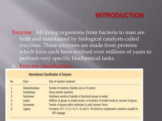 Enterobacteriaceae , Enterobacter and their Biochemical Test | DOCX