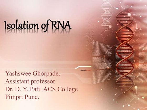 Isolation Of Rna And Its Application Ppt