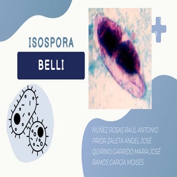 Isospora.pdf