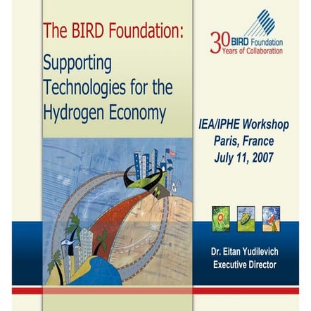 Израильско - Американский фонд BIRD для поддержки совместный проектов | PDF