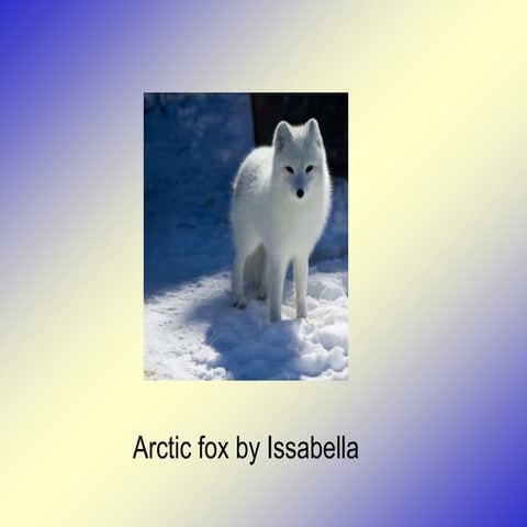 Arctic fox -Issabella | PPTX