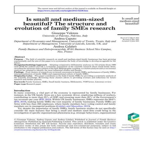 Is small and medium sized beautiful - the structure and evolution of ...