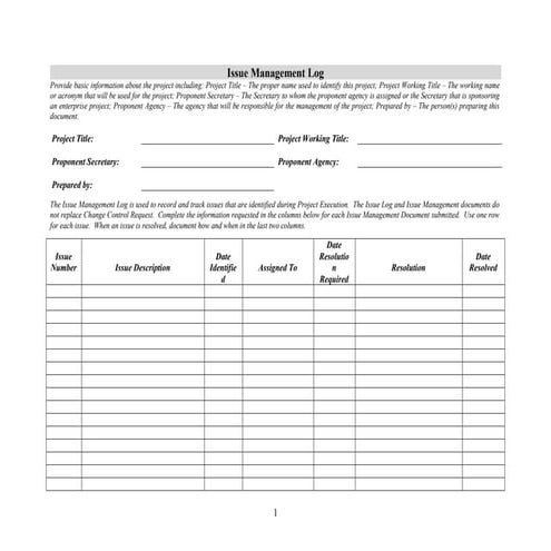Issue management-log | DOC | Resume Writing and Advice | Job Search