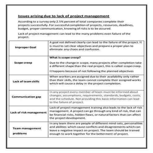 Issues arising due to lack of project management | DOCX