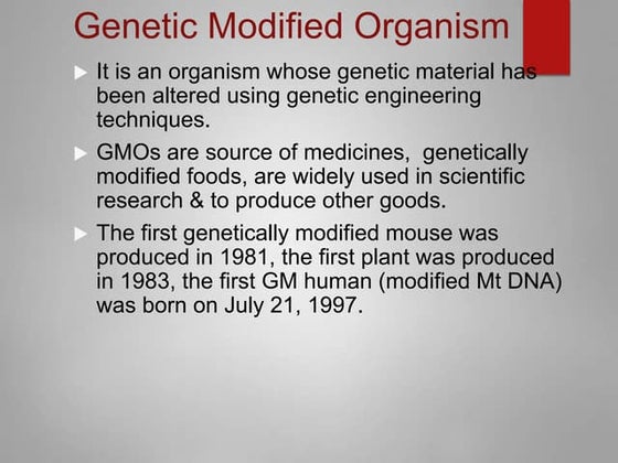STS - gmo | PPT