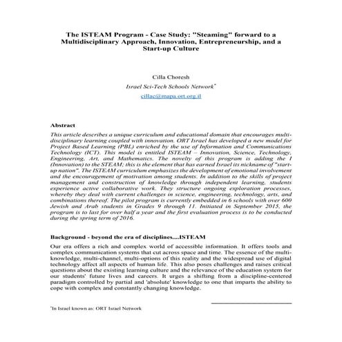 The ISTEAM Program | PDF