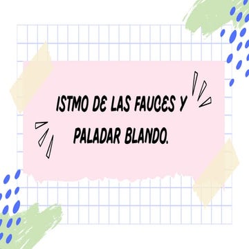 Istmo de las fauces | PPTX