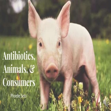 Is Your Meat Safe? How Are Antibiotics Negatively Impacting the Health ...