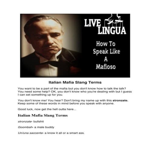 Italian Mafia Slang Terms | PDF