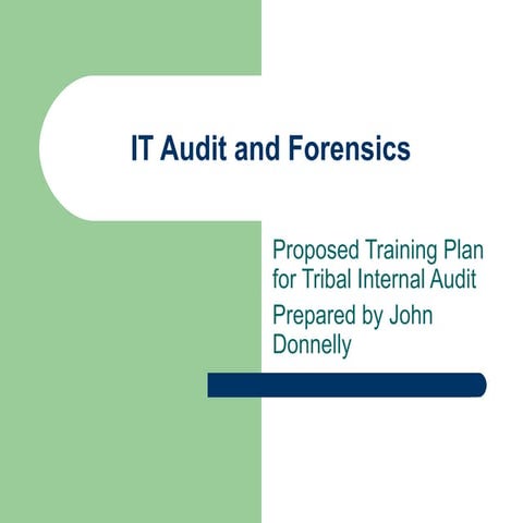 It Audit And Forensics | PPT