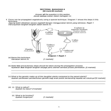 It bio f4 final year examination (bl) | PDF