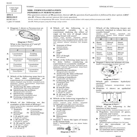 It bio f4 mid term examination (bl) | PDF