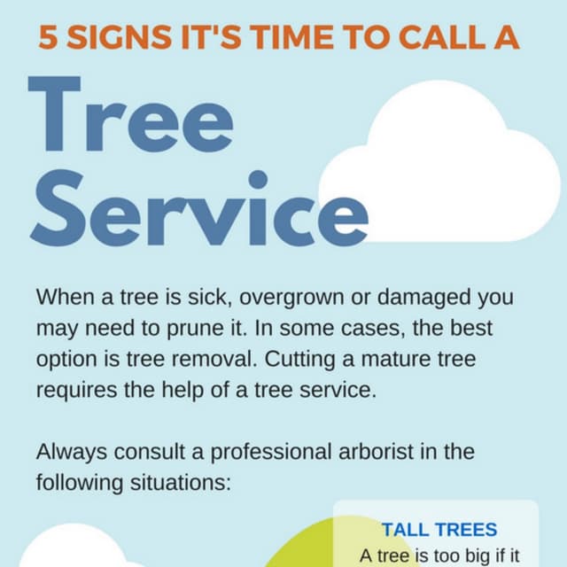 When to call a tree care service instead of a landscaper | PDF