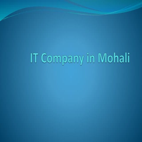 IT Company in Mohali.pptx