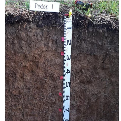 Item 5: Japanese Soil Map based on World Reference Base for Soil ...