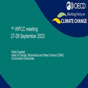 Item 3. WPCC Strategic orientations.pdf