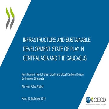 Item 3a Infrastructure and sustainable development: state of play in ...