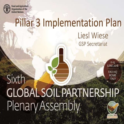 Pillar 3: Presentation of the Implementation Plan | Liesl Wiese, GSP ...