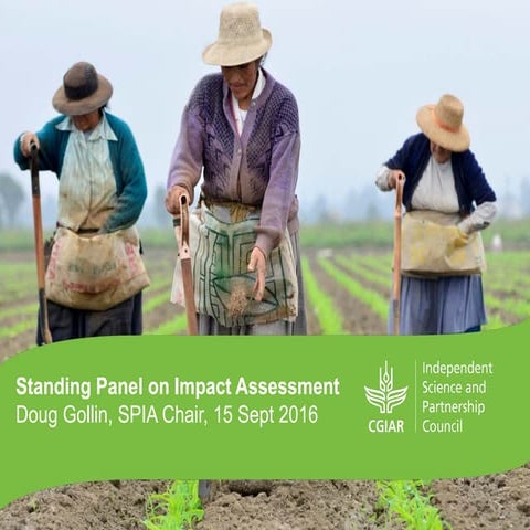 Doug Gollin Standing Panel on Impact Assessment (SPIA) | PDF