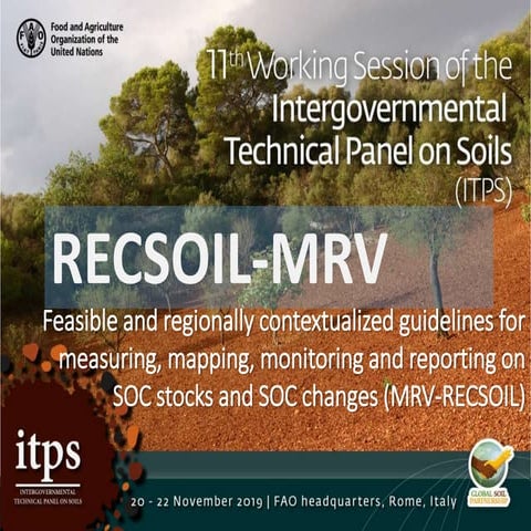 RECSOIL MRV | PPT