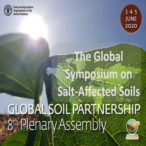 Item 6: Global Symposium on Salt-affected Soils | PPT