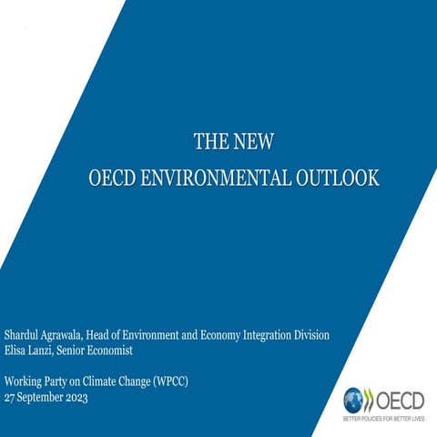 Item 8. The new OECD Environmental Outlook.pdf