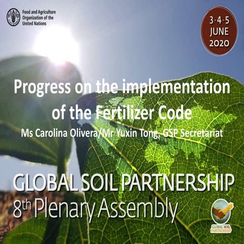Item 8: Progress on the implementation of the Fertilzer Code | PPT