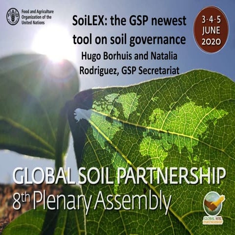Item 8: SoiLEX - The GSP newest tool on soil governance | PPT