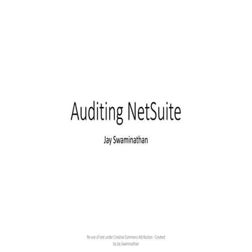 It General Controls Testing In Netsuite Pdf