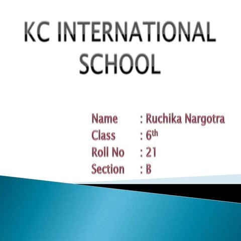 It personality | PPTX