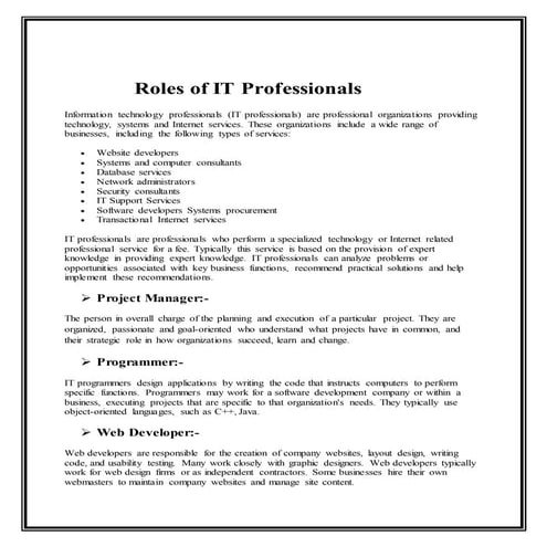 The Roles and Responsibilities of the IT Professional | PPTX