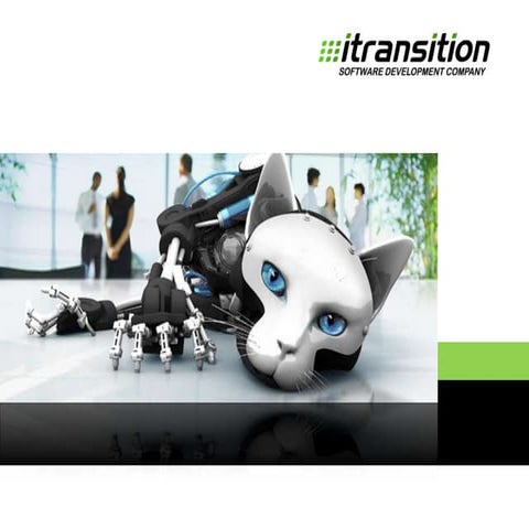 Itransition at a glance 2011 | PPTX