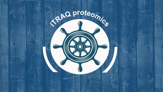 I traq labeling | PPT