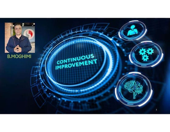 Continuous improvement consulting services | PDF